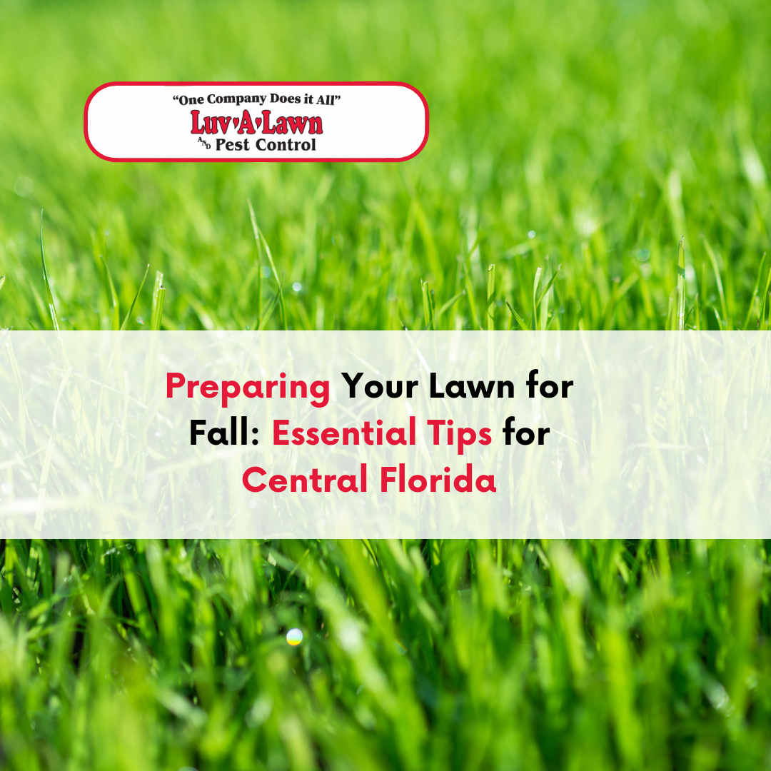 Preparing Your Lawn for Fall: Essential Tips for Central Florida - Luv ...