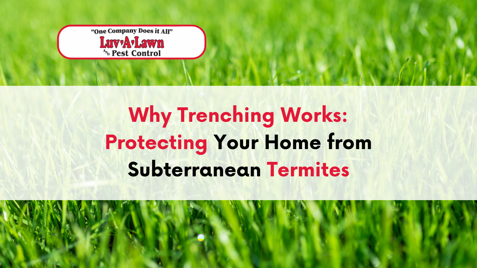 Why Trenching Works: Protecting Your Home from Subterranean Termites ...